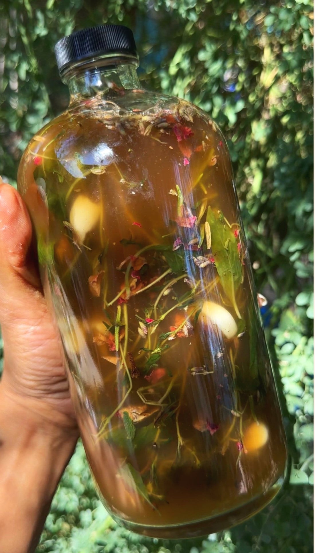 The Legendary 4 Thieves Vinegar: A Powerhouse Potion for Health and Pr ...