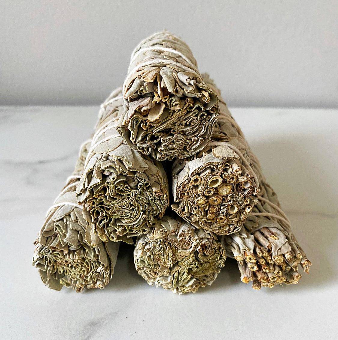 Sustainable White Sage Bundle for Cleansing and Purifying – World-Of ...